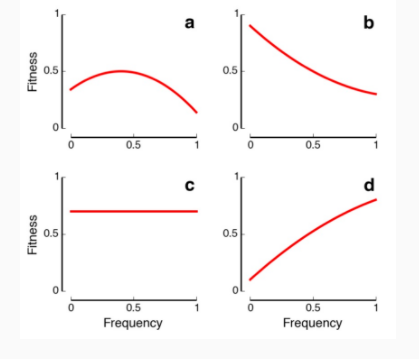 Frequency Dependent Selection