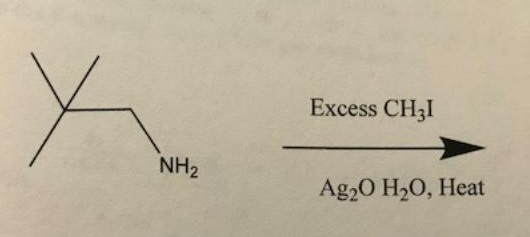 Solved Excess CH3l NH2 Ag2O H20, Heat | Chegg.com