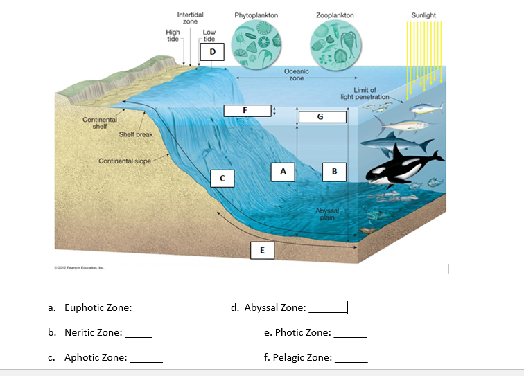 Marine Ecosystems Zones