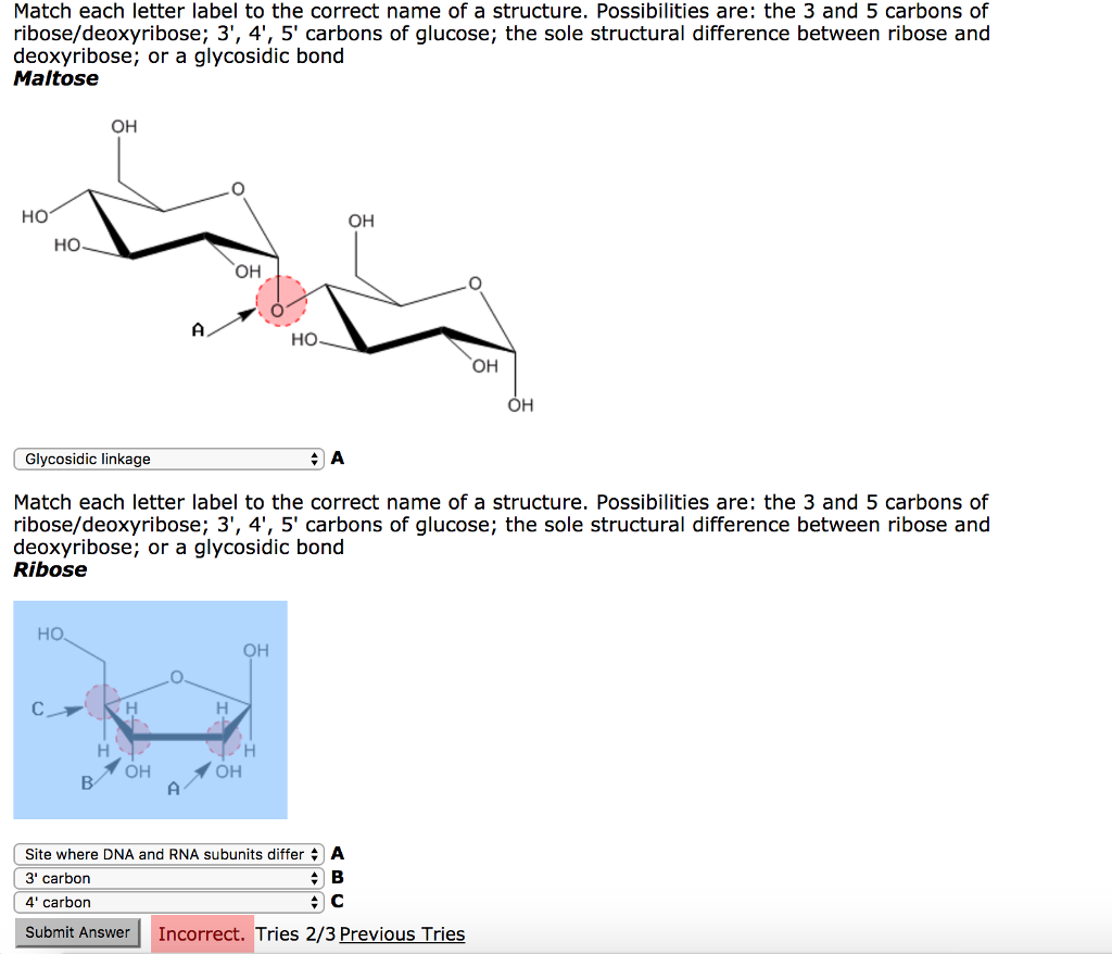 Solved Match each letter label to the correct name of a | Chegg.com