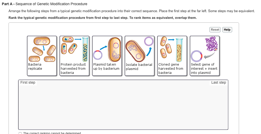 Sequence of Genetic Modification Procedure Arrange | Chegg.com