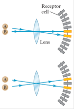 The Rayleigh criterion is the generally accepted | Chegg.com
