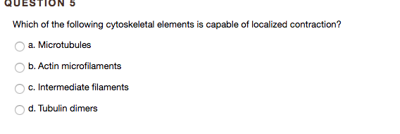 Solved Which of the following cytoskeletal elements is | Chegg.com