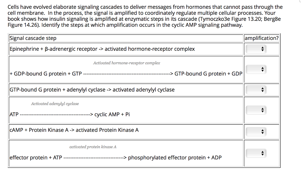 Solved Cells have evolved elaborate signaling cascades to | Chegg.com