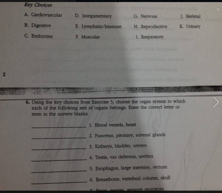 Solved Cardiovascular Digestive Endrocrine Integumentary | Chegg.com