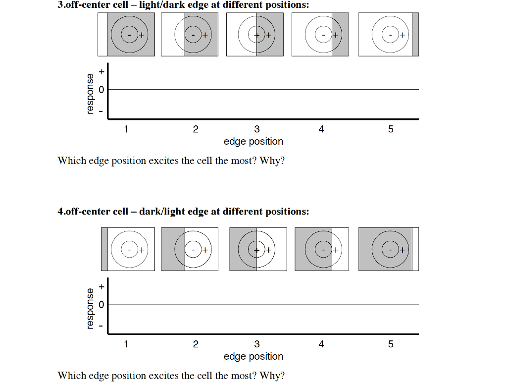 2.on-center cell – dark/light edge at different | Chegg.com