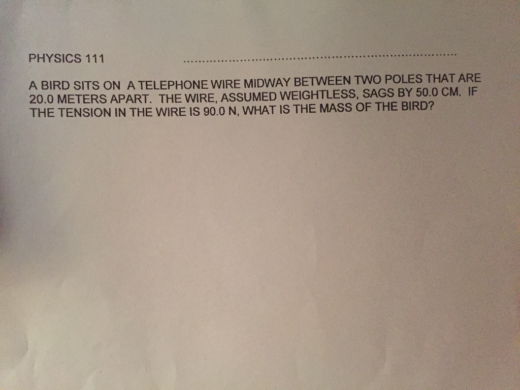 Solved A BIRD SITS ON A TELEPHONE WIRE MIDWAY BETWEEN TWO | Chegg.com