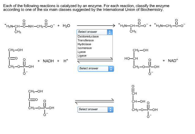 Solved Each of the following reactions is catalyzed by an | Chegg.com