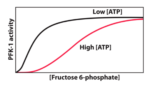 Solved An enzyme known as PFK-1 catalyzes the reaction of | Chegg.com