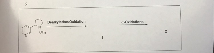 Solved Dealkylation/Oxidation CH Oxidations | Chegg.com