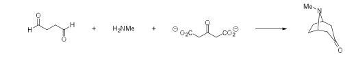 Solved The Robinson tropinone synthesis is a beautiful | Chegg.com