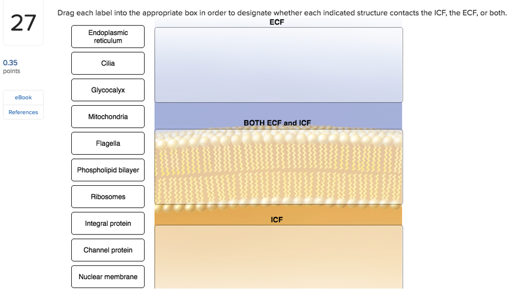 Solved Drag each label into the appropriate box in order to | Chegg.com