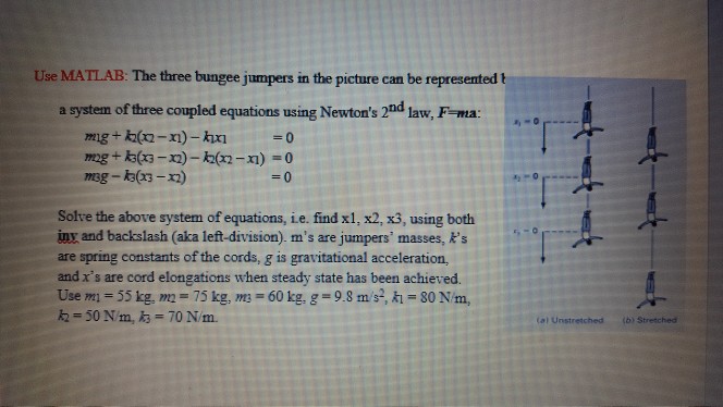 Solved Use MATLAB: The three bungee jumpers in the picture | Chegg.com