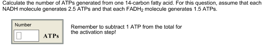 Solved Calculate the number of ATPs generated from one | Chegg.com