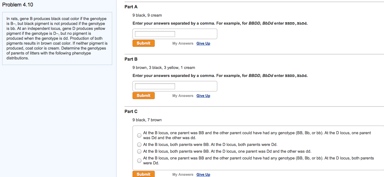 Solved Problem 4.10 In rats, gene B produces black coat | Chegg.com