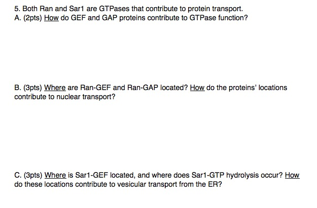 Solved Both Ran and Sari are GTPases that contribute to | Chegg.com