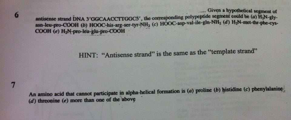 Solved Given a hypothetical segment of antisense strand DNA | Chegg.com