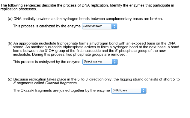 Solved The following sentences describe the process of DNA | Chegg.com
