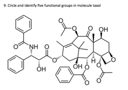 Solved 9.Circle and identify five functional groups in | Chegg.com