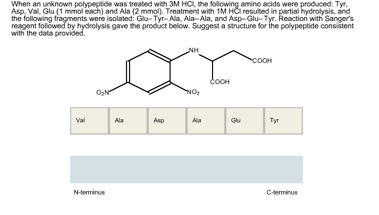 Solved When an unknown polypeptide was treated with 3M HCl, | Chegg.com