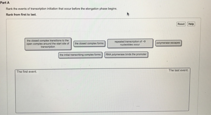 Solved Rank the events of transcription initiation that | Chegg.com
