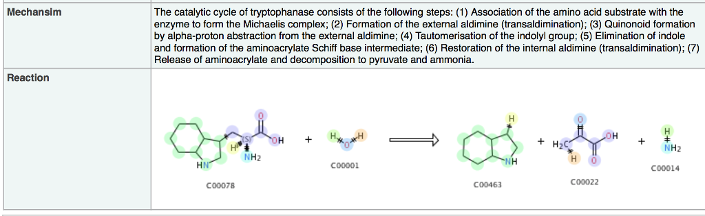 enzyme: tryptophanase rxn: L-tryptophan + H2O ? | Chegg.com