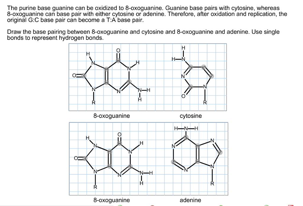 Solved The purine base guanine can be oxidized to | Chegg.com