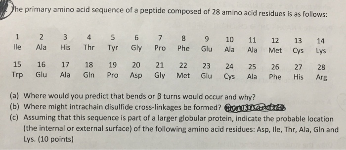 Solved The primary amino acid sequence of a peptide composed | Chegg.com