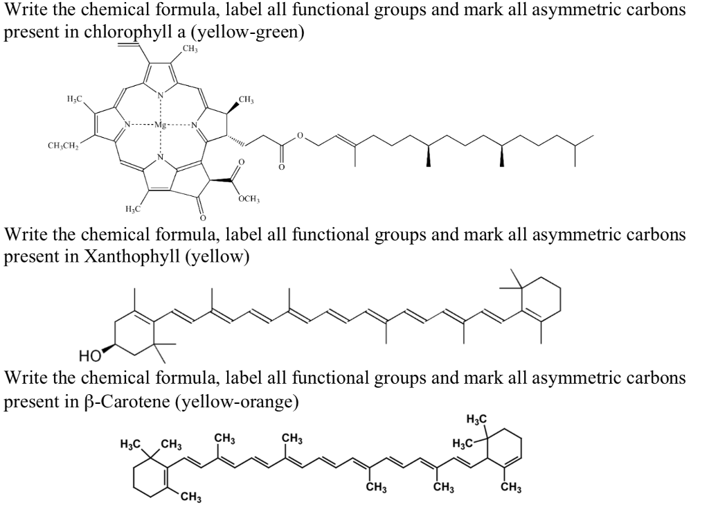 Solved Write the chemical formula, label all functional | Chegg.com
