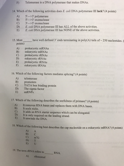 Solved Which of the following activities does E. coli DNA | Chegg.com