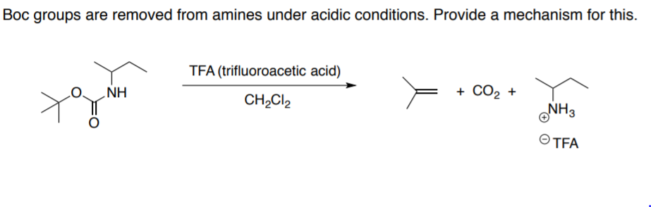 Solved Boc groups are removed from amines under acidic | Chegg.com