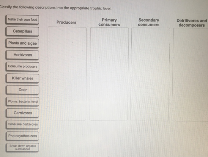 Solved Classify the following descriptions into the | Chegg.com Solved Classify the following descriptions into the | Chegg.com