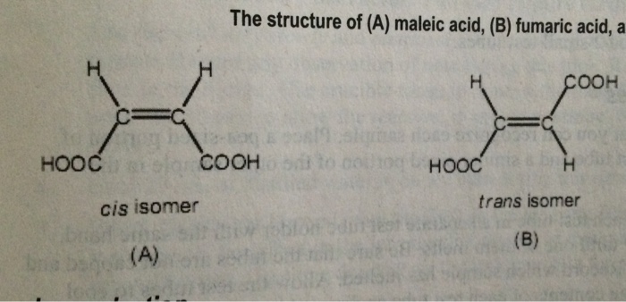 Solved The structure of (A) maleic acid, (B) fumaric acid, a | Chegg.com