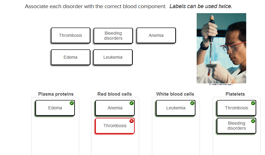 Solved Associate each disorder with the correct blood | Chegg.com
