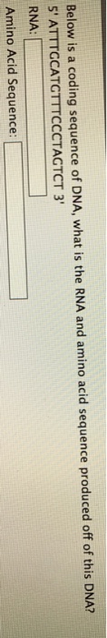 Solved Below is a coding sequence of DNA, what is the RNA | Chegg.com
