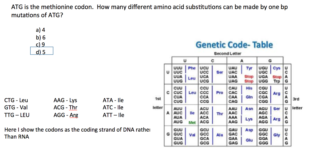 Solved ATG is the methionine codon. How many different amino | Chegg.com