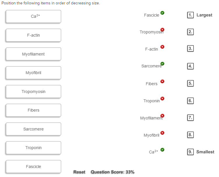 Solved Position the following items in order of decreasing | Chegg.com