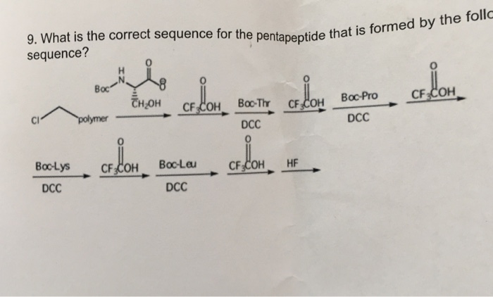 Solved What is the correct sequence for the pentapeptide | Chegg.com