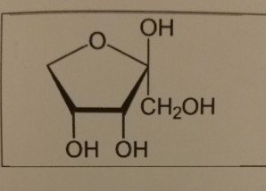Solved CHO OH OH H- OH CH20H | Chegg.com