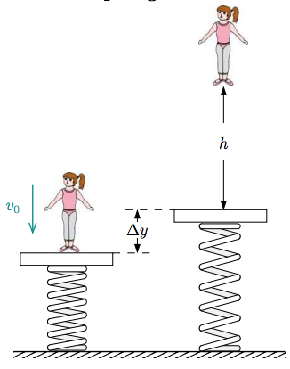 Solved A 50.0-kg acrobat is doing tricks using a | Chegg.com