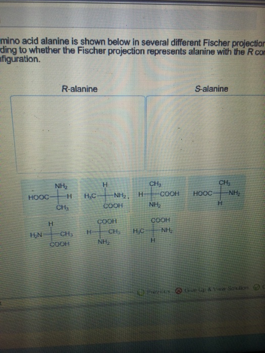 Solved The amino acid alanine is shown below in several | Chegg.com