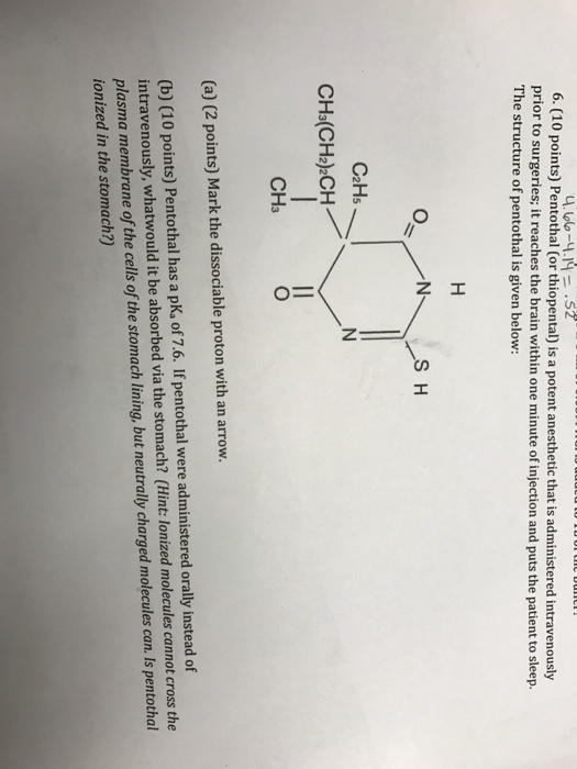 Solved Pentothal (or thiopental) is a potent anesthetic that | Chegg.com
