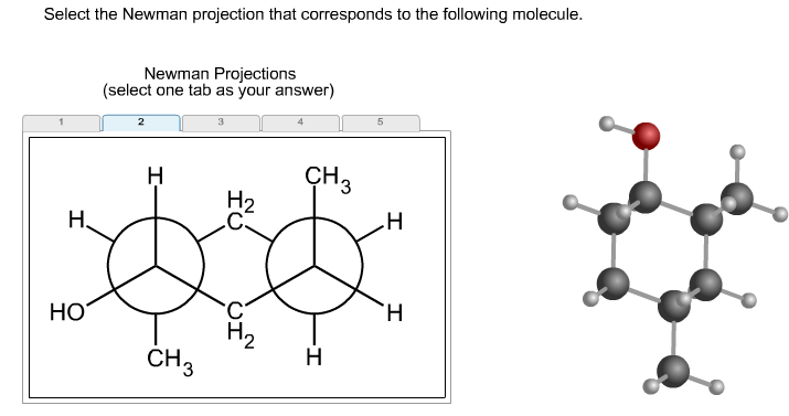Solved Select The Newman Projection That Corresponds To The