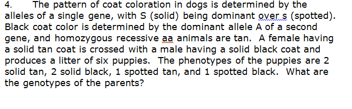 Solved The pattern of coat coloration in dogs is determined | Chegg.com
