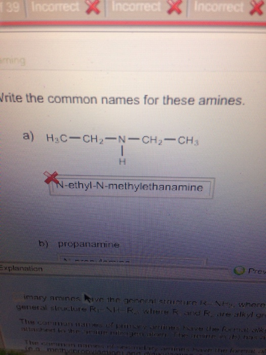 Write The Common Names For These Amines
