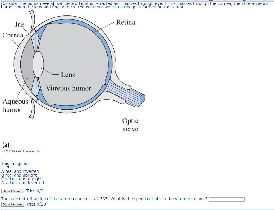 Solved: Consider The Human Eye Shown Below. Light Is Refra... | Chegg.com