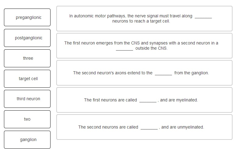 Solved Place the correct word into each sentence to describe | Chegg.com
