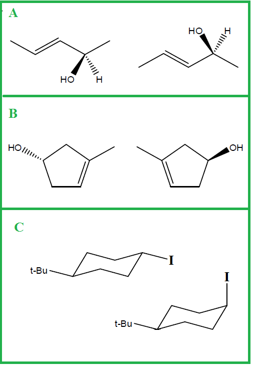 Solved Holi t-Bu HO t-Bu HO OH | Chegg.com