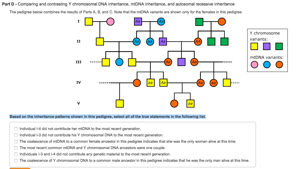 Solved comparing and contrasting Y chromosomal DNA | Chegg.com