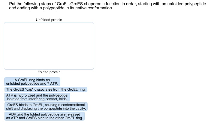 Solved Put the following steps of GroEL-GroES chaperonin | Chegg.com